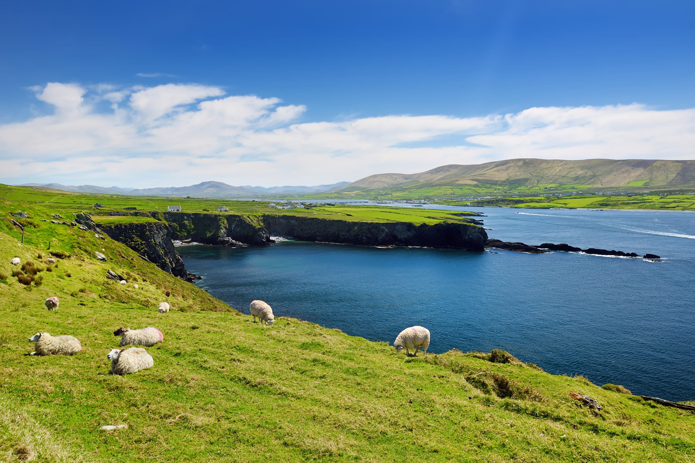 Ierland - Wonderways Groepsreizen